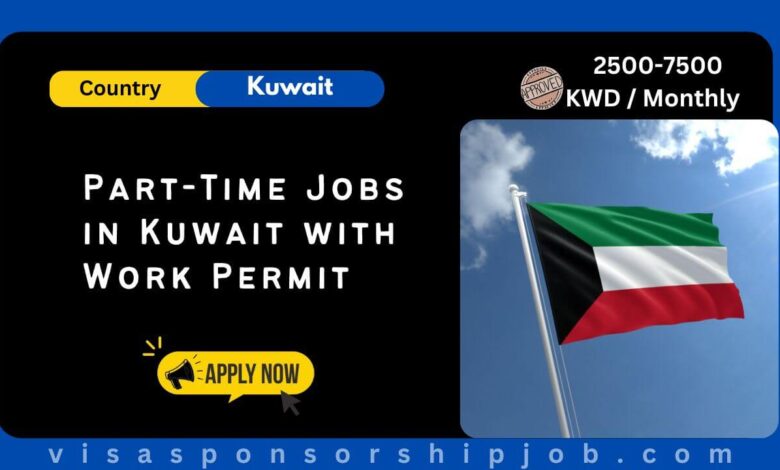 Visa Sponsorship Job