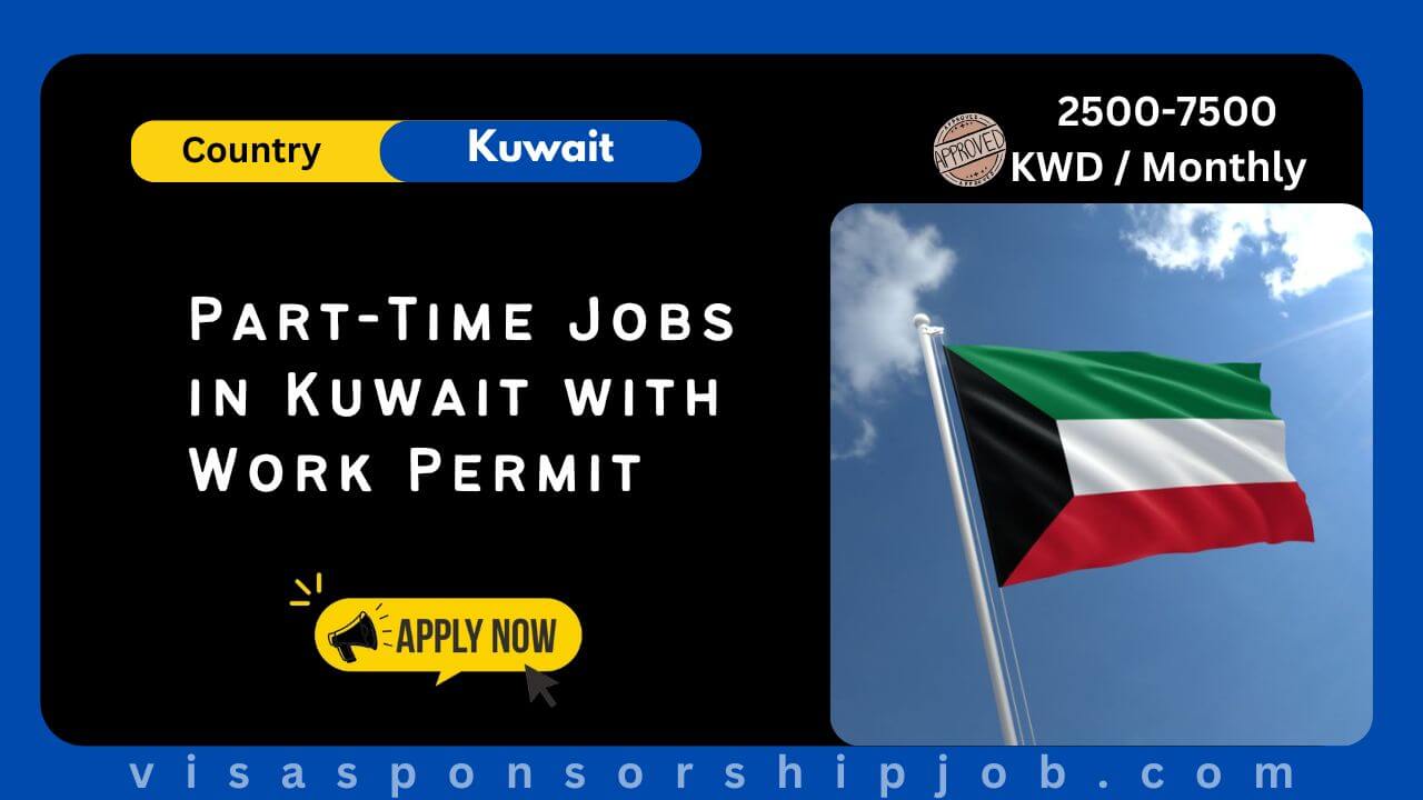 Visa Sponsorship Job