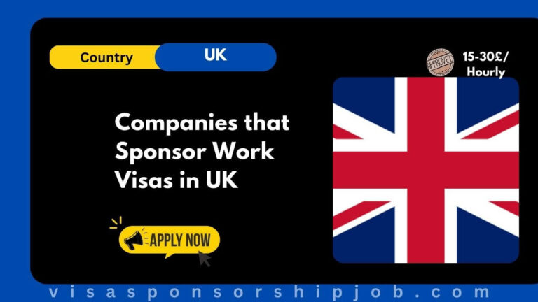 Visa Sponsorship Job
