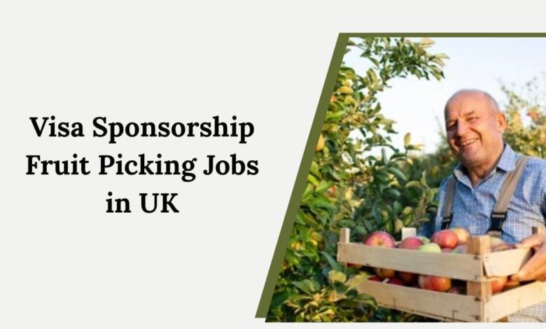 Visa Sponsorship Job